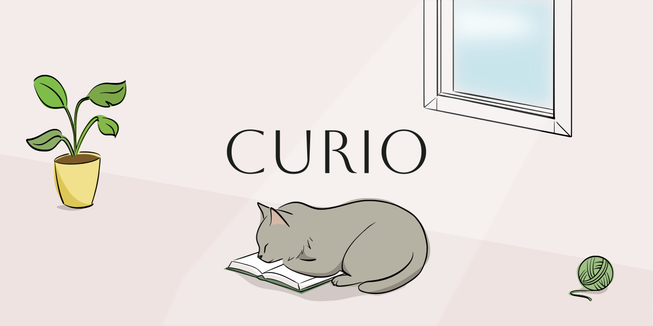 Curio